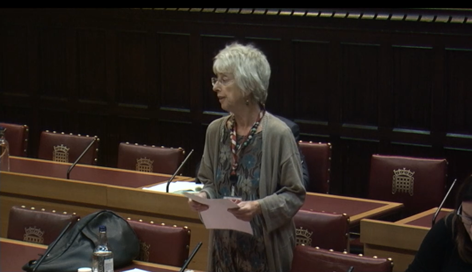 Baroness Lister Leads Lords Debate on Immigration Detention Rules and ...