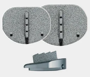 Prodisc®L Anterior Lumbar Total Disc Replacement — Invictus Medical