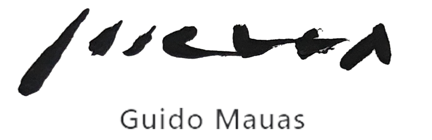 Guido Mauas - Artist