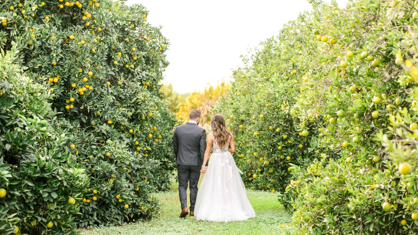 Host Your Event — Agritopia Farm