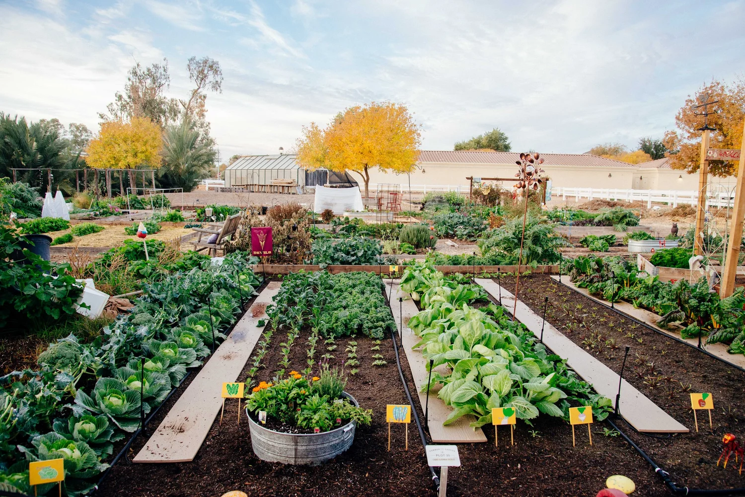 Contact — Agritopia Farm