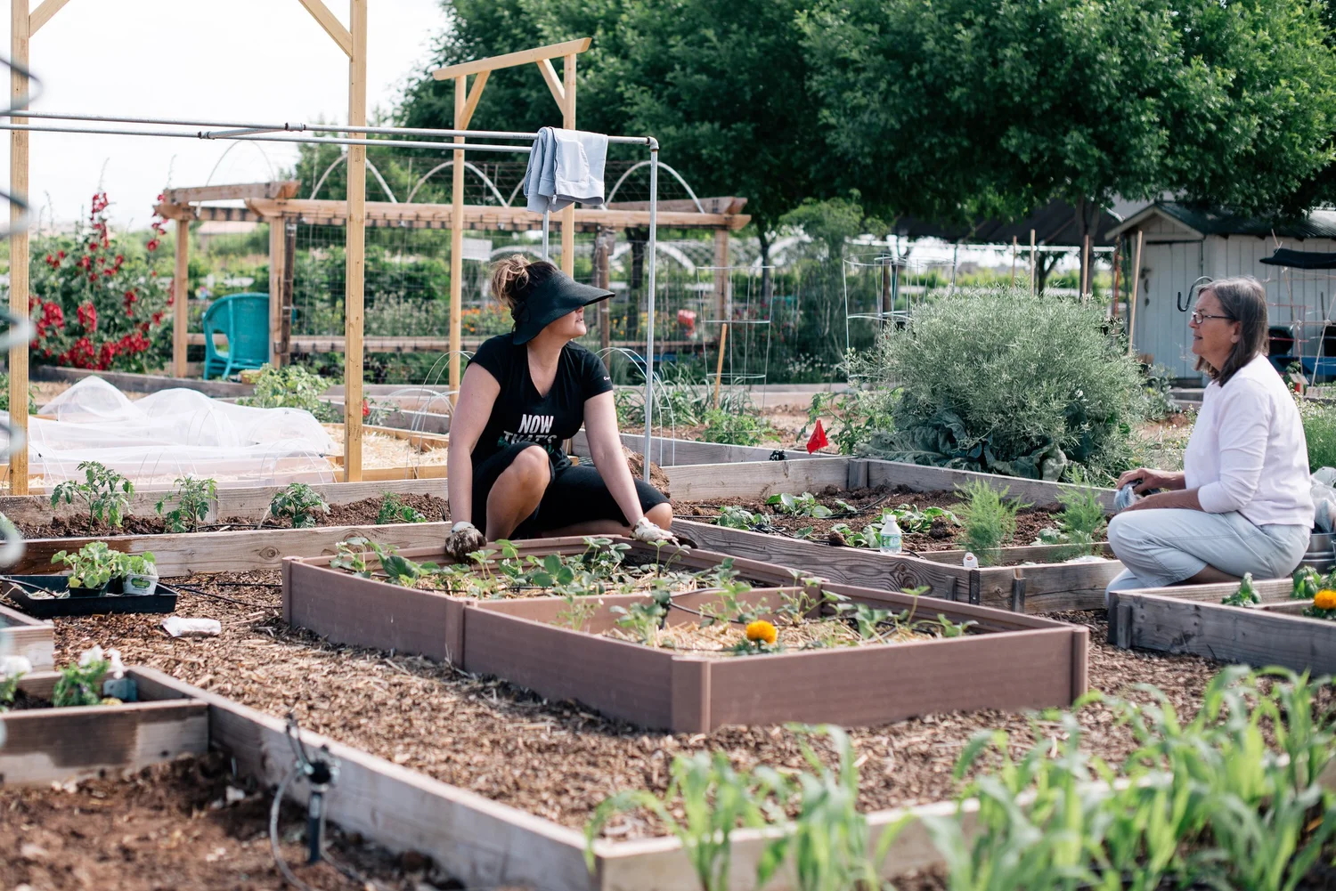 Community Garden — Agritopia Farm