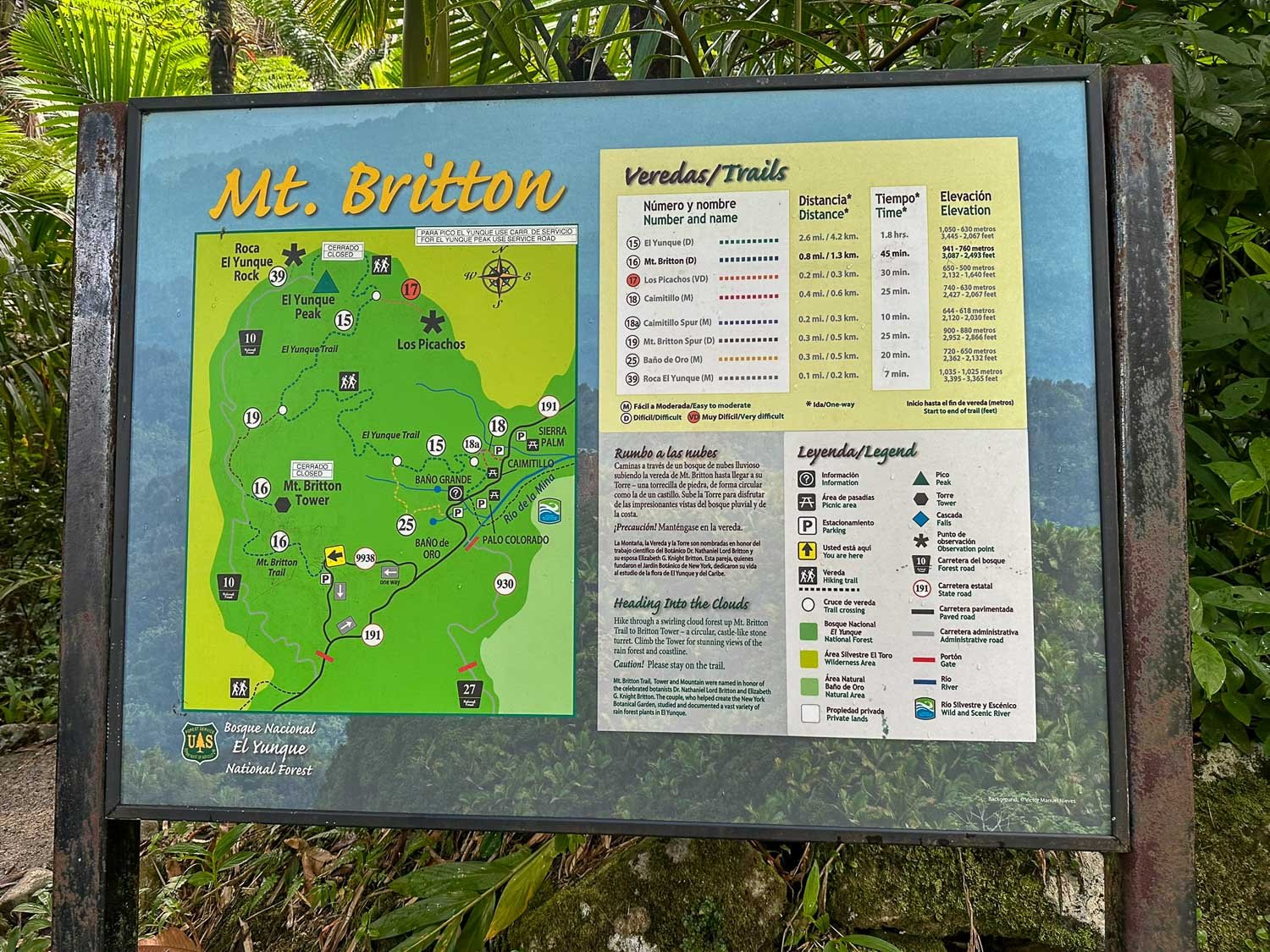 El Yunque: Your Guide to Puerto Rico's National Forest — Global Grit + Glam
