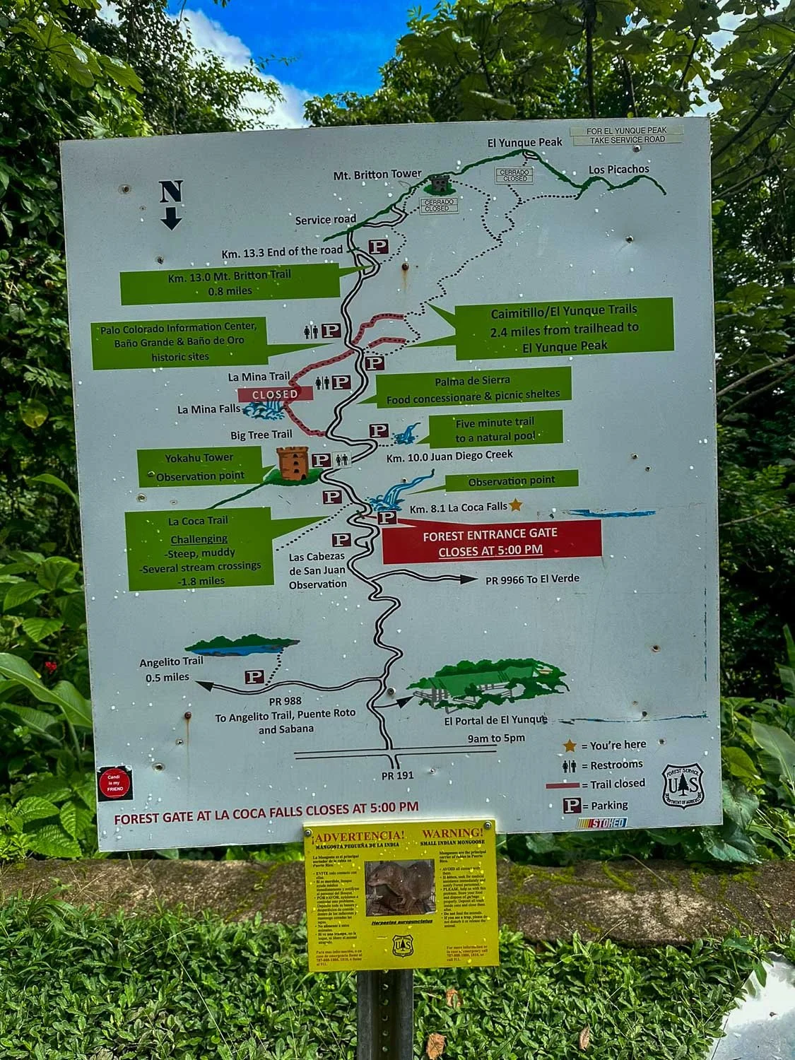 El Yunque: Your Guide to Puerto Rico's National Forest — Global Grit + Glam