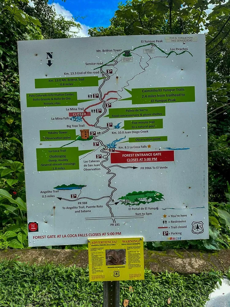 El Yunque: Your Guide to Puerto Rico's National Forest — Global Grit + Glam