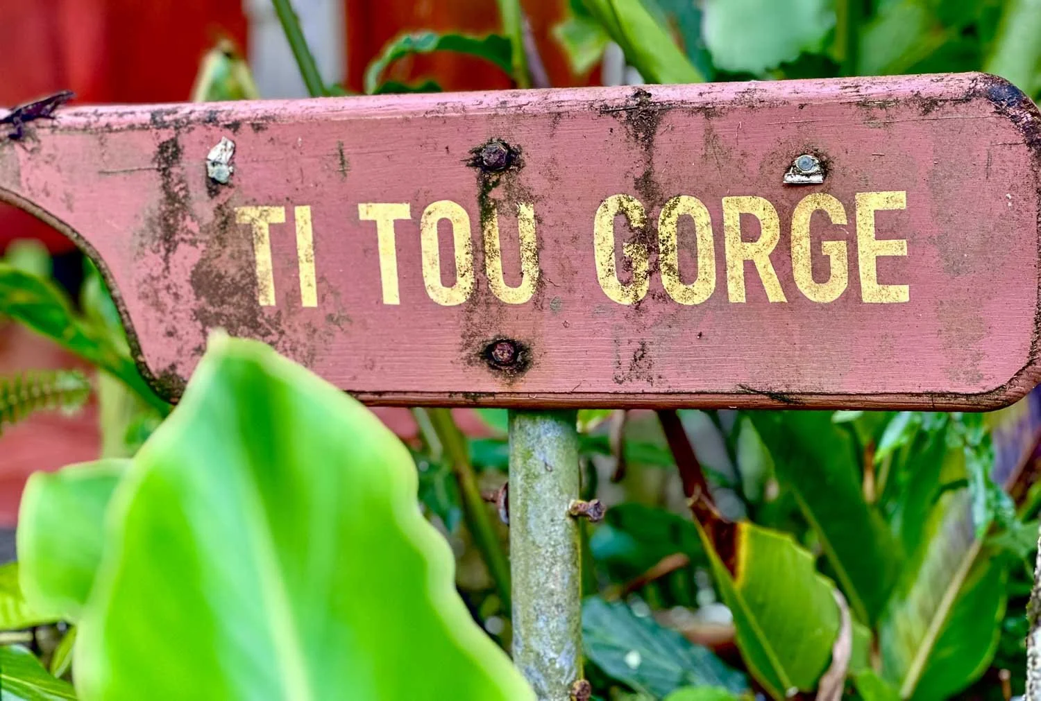 Titou Gorge, Dominica: An Adventure of a Lifetime — Global Grit + Glam