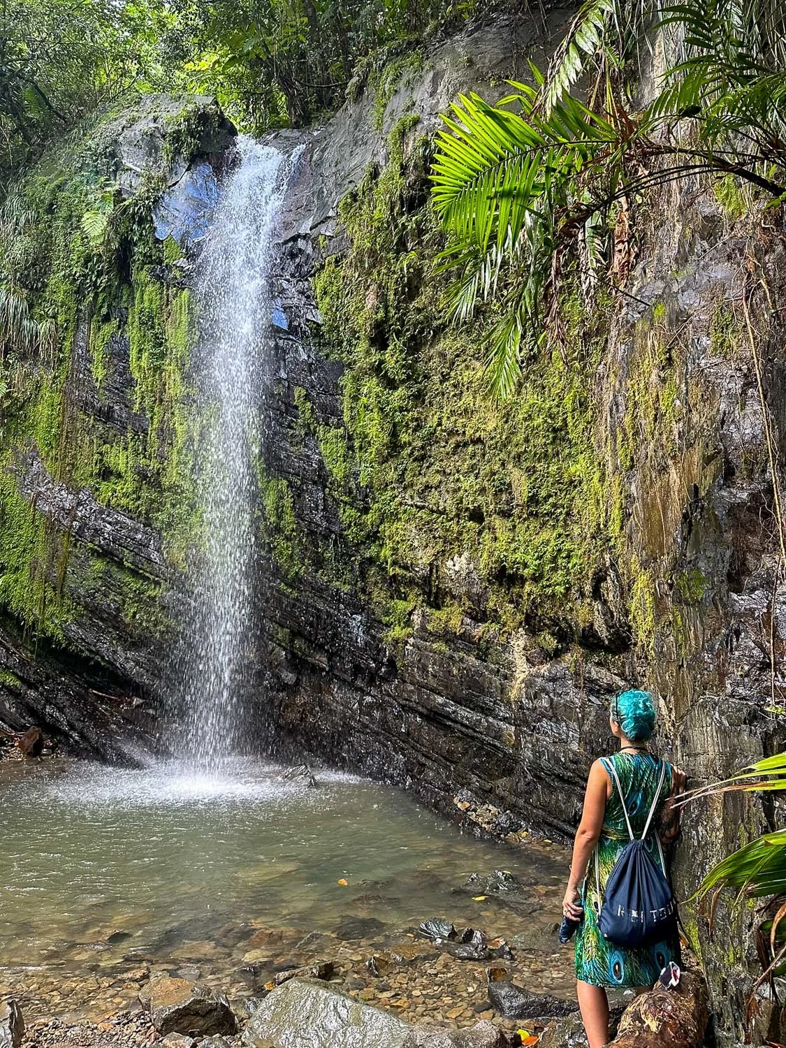 El Yunque: Your Guide to Puerto Rico's National Forest — Global Grit + Glam
