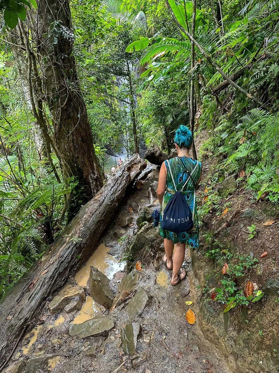 El Yunque: Your Guide to Puerto Rico's National Forest — Global Grit + Glam