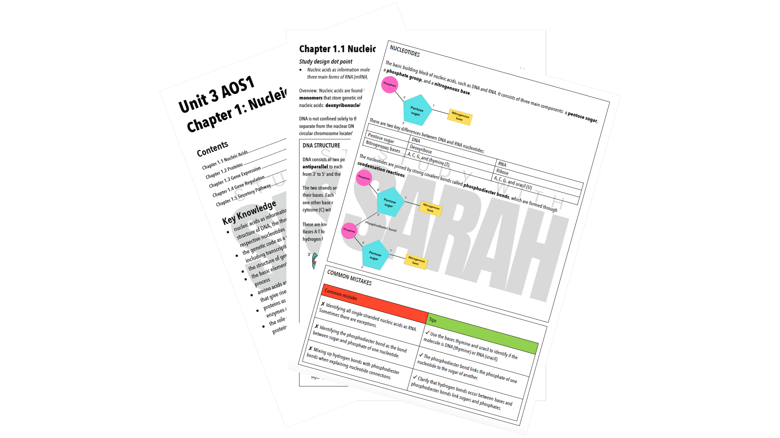 Study with Sarah | VCE & IB Biology Tutoring