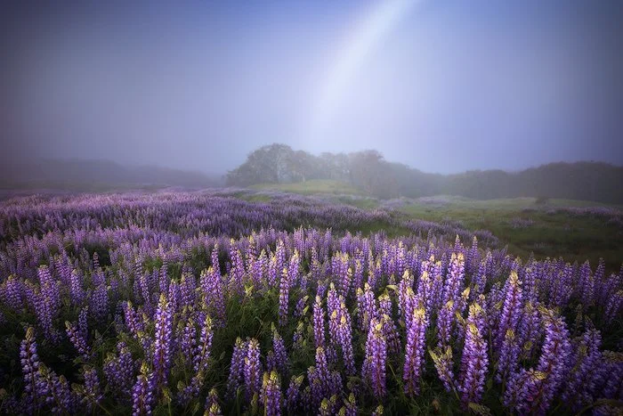 Learn Nature Photography