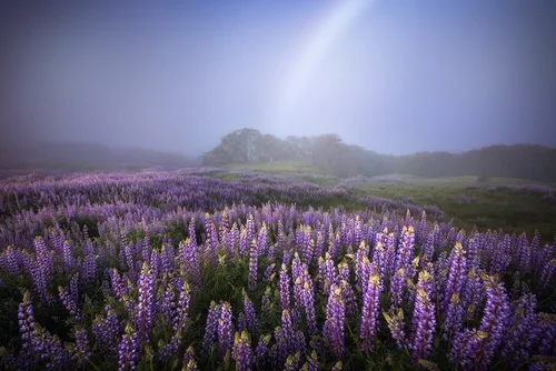 Learn Nature Photography