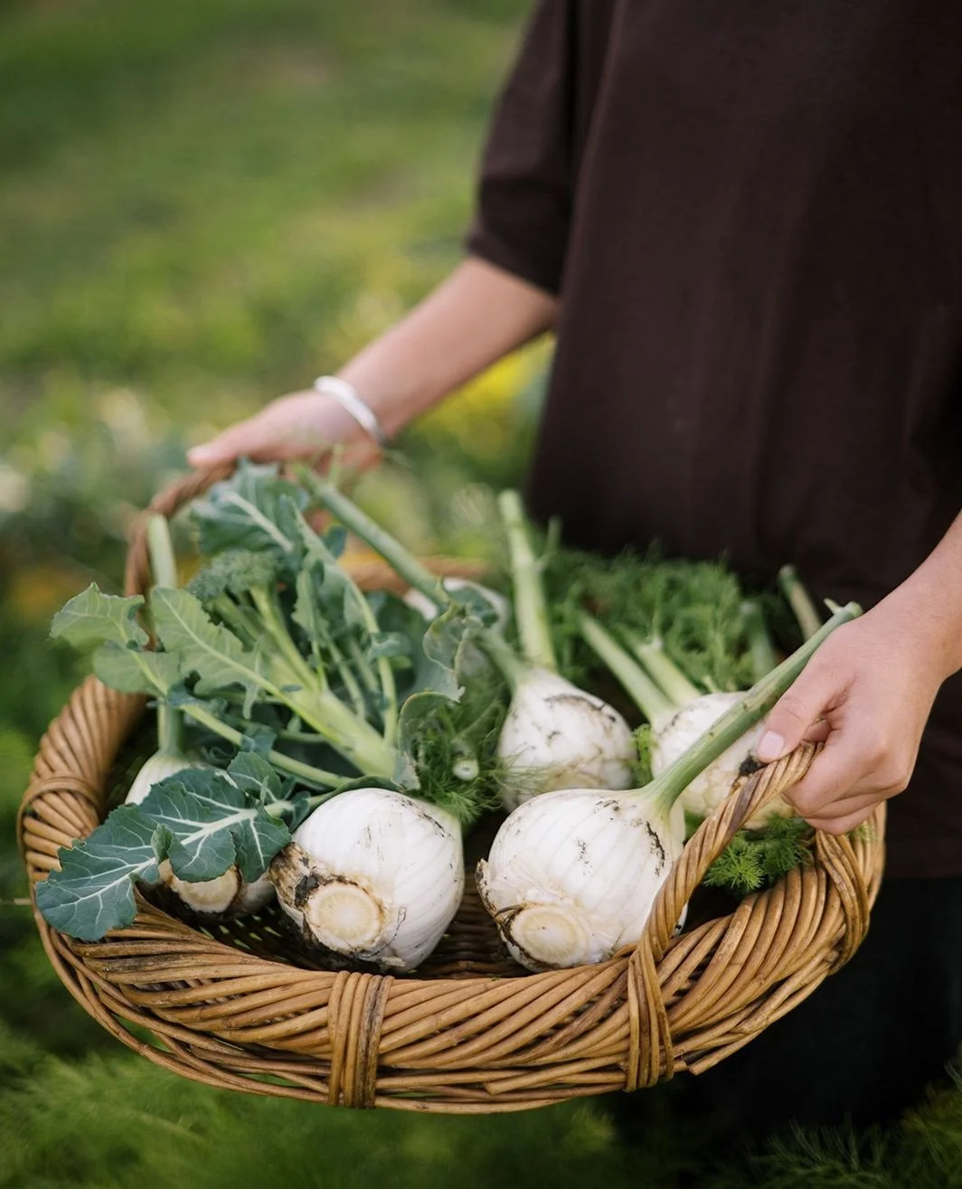 Menu | St Georges Restaurant