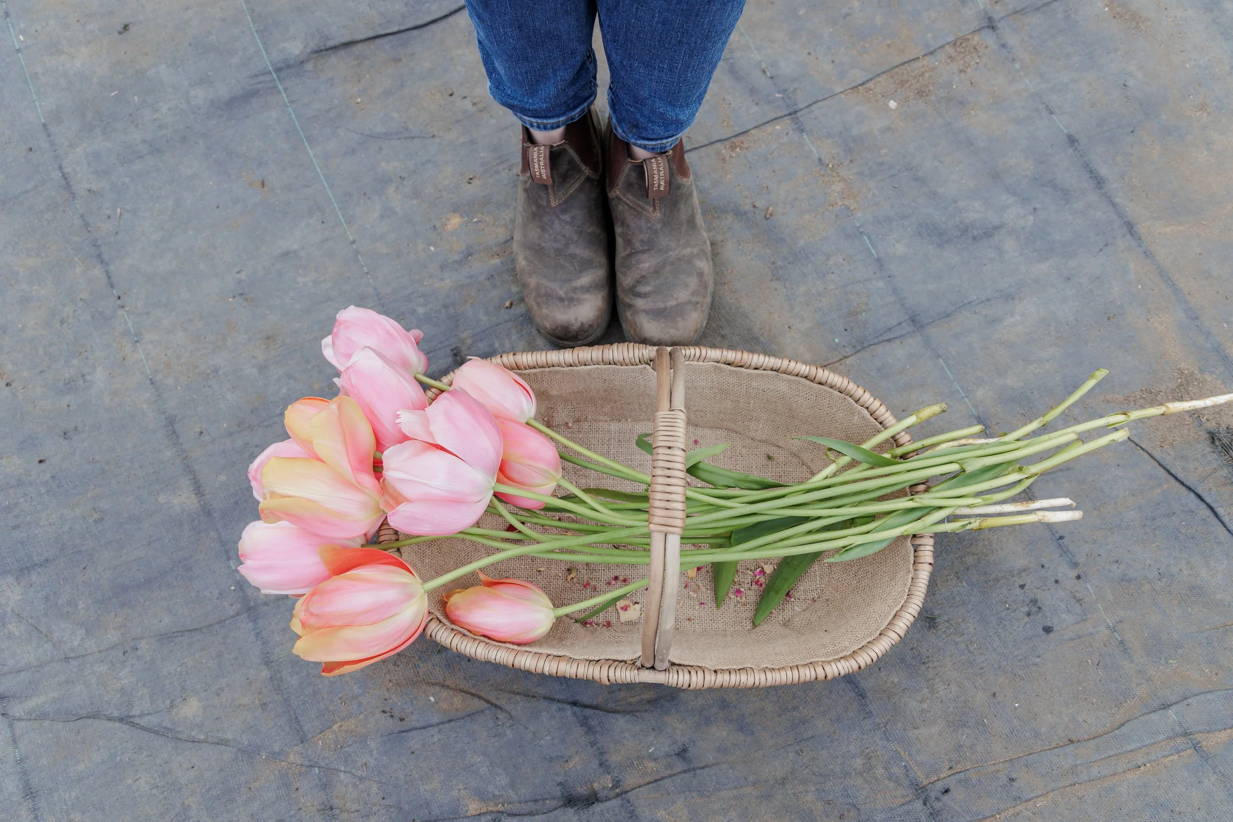 The Flower Farm — THE UNWALLED GARDEN