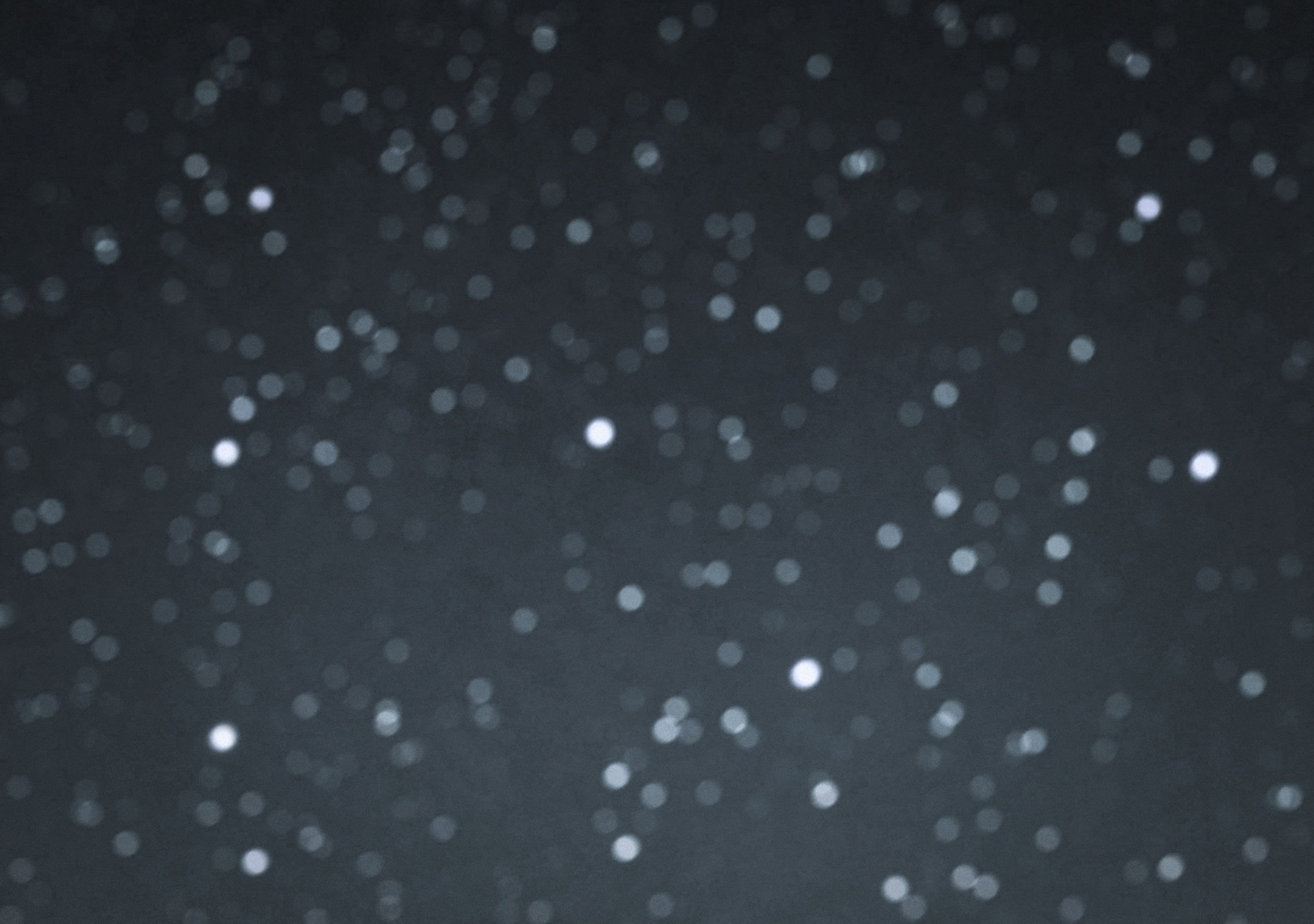 Embody Language Yoga Therapy