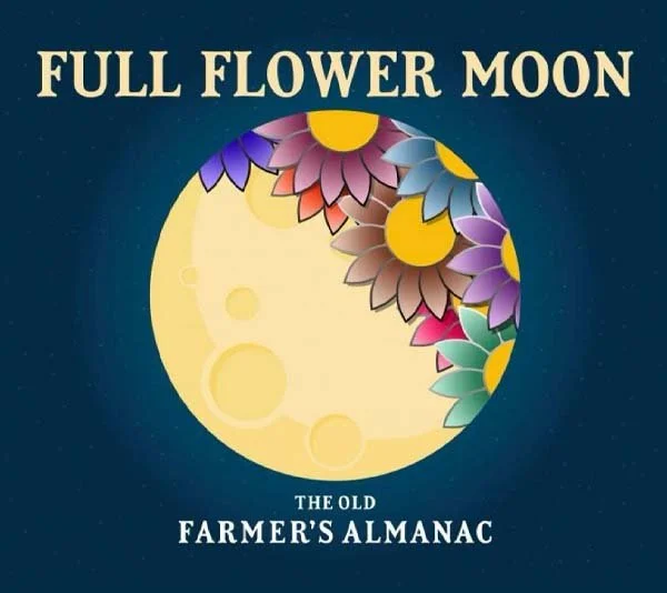 Everything You Should Know About May! — Feather Sound News