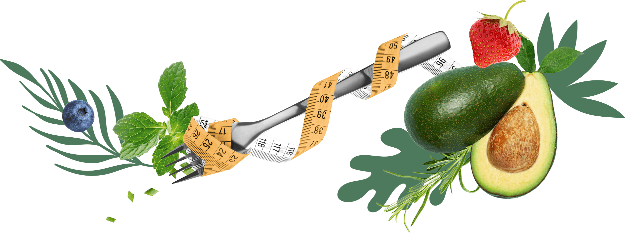 Bariatric Support Australia