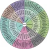 Spanish Feeling Wheel - A4 Printable Version, Download Now — Sara Cura ...