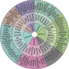 Arabic Feeling Wheel - Letter Size Printable Version, Download Now ...