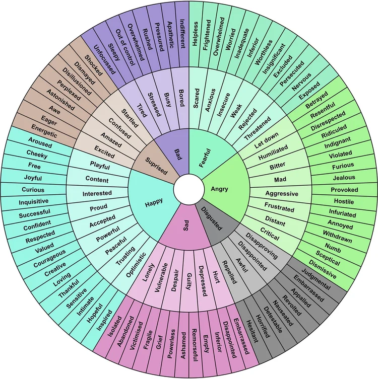 Feeling Wheels — Sara Cura Spirit