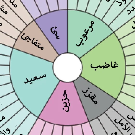 Hindi Feeling Wheel - A4 Printable Version, Download Now — Sara Cura Spirit