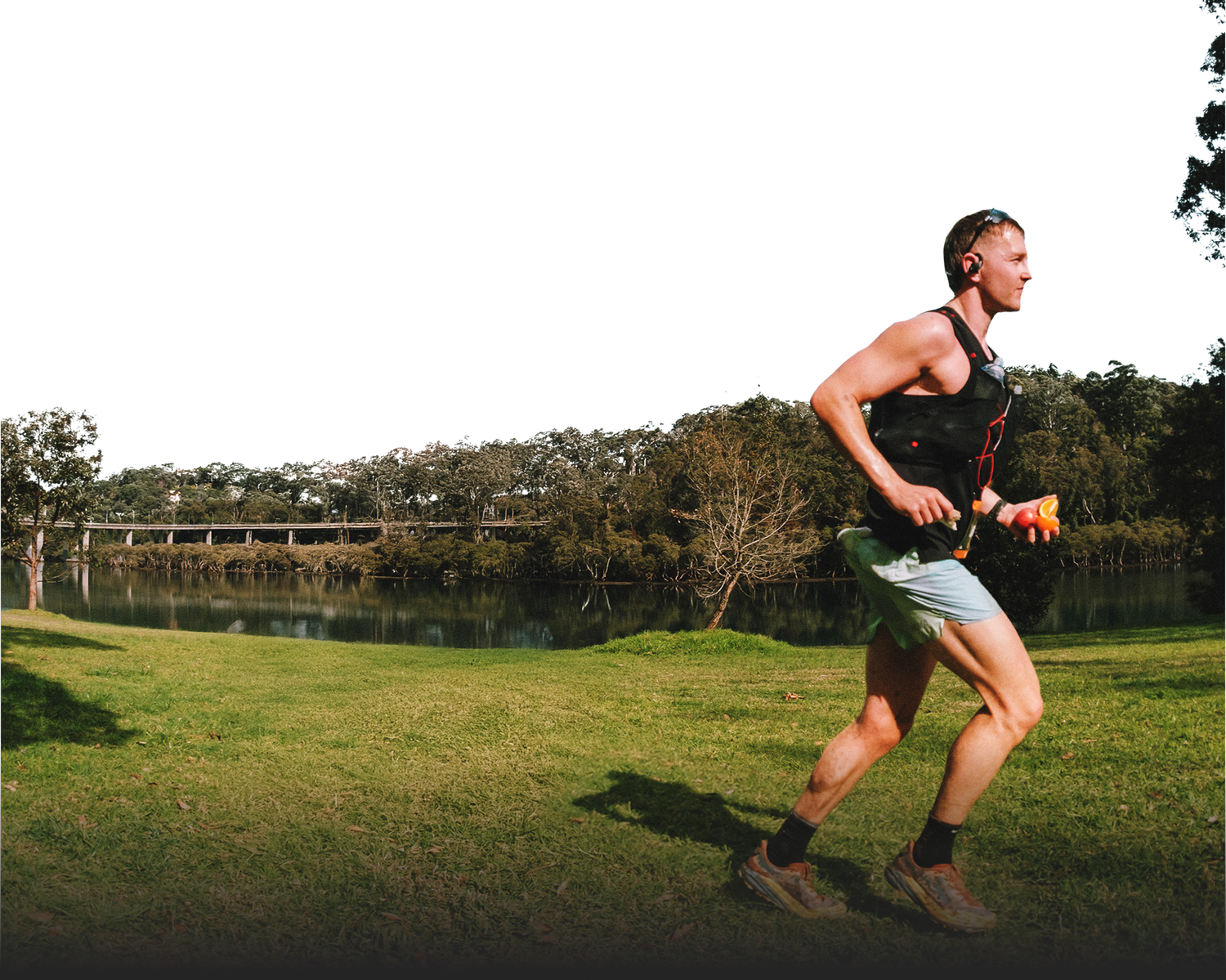 SUM 100 | Register Now — Sydney Ultra Marathons