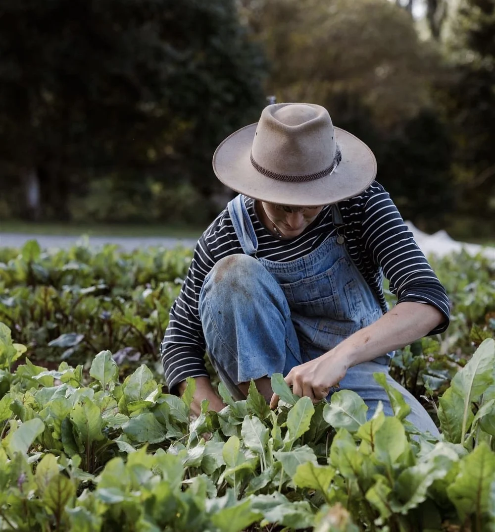 Mapleton Public House — Visit Mapleton