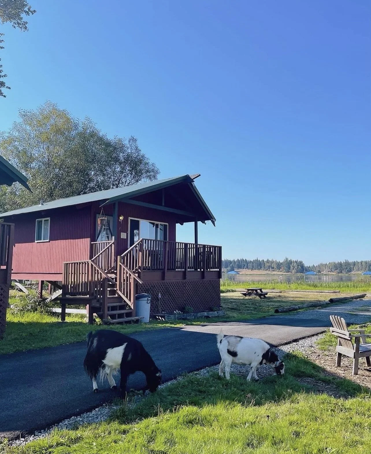 Henley's Silver Lake Resort