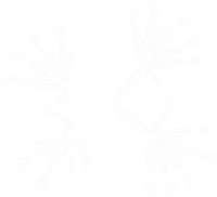 Philosophy of the Ruliad — Wolfram Institute