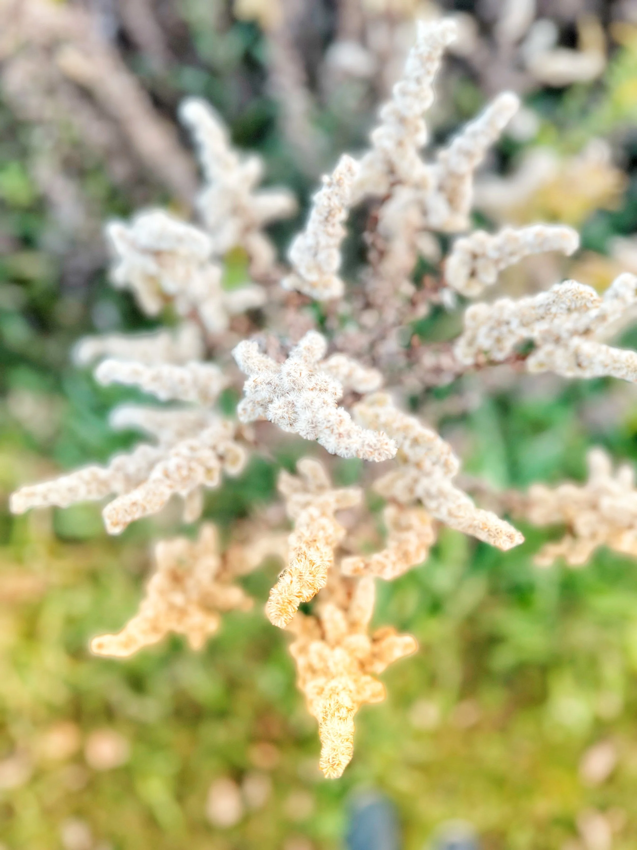 About Michelle Edwards | Author Bio and Inspirational Journey — Michelle Edwards AuthorMichelle ...