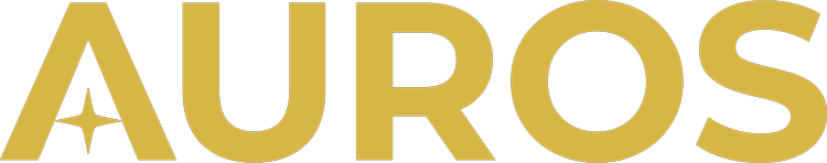 About Us | Auros Insurance — Auros Insurance