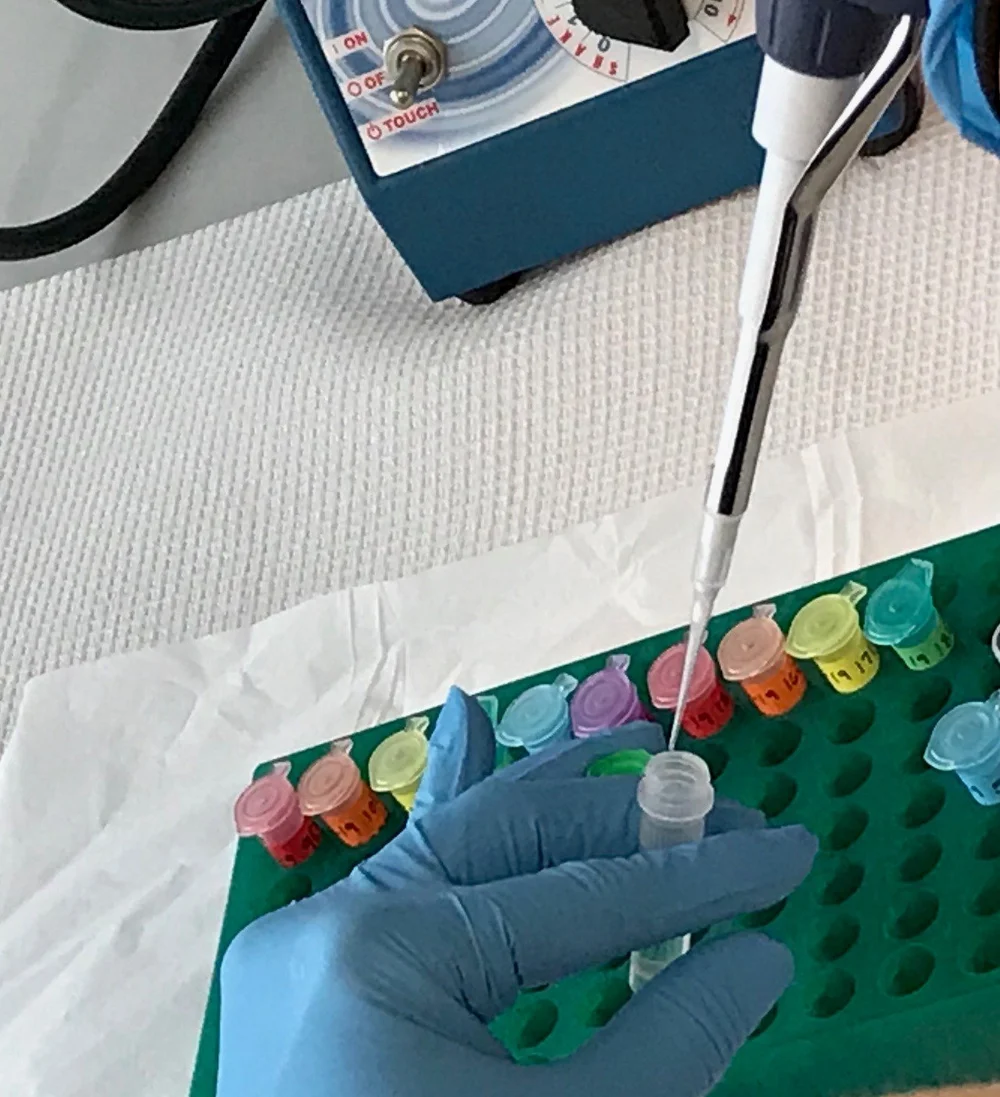 Internships — NLCL