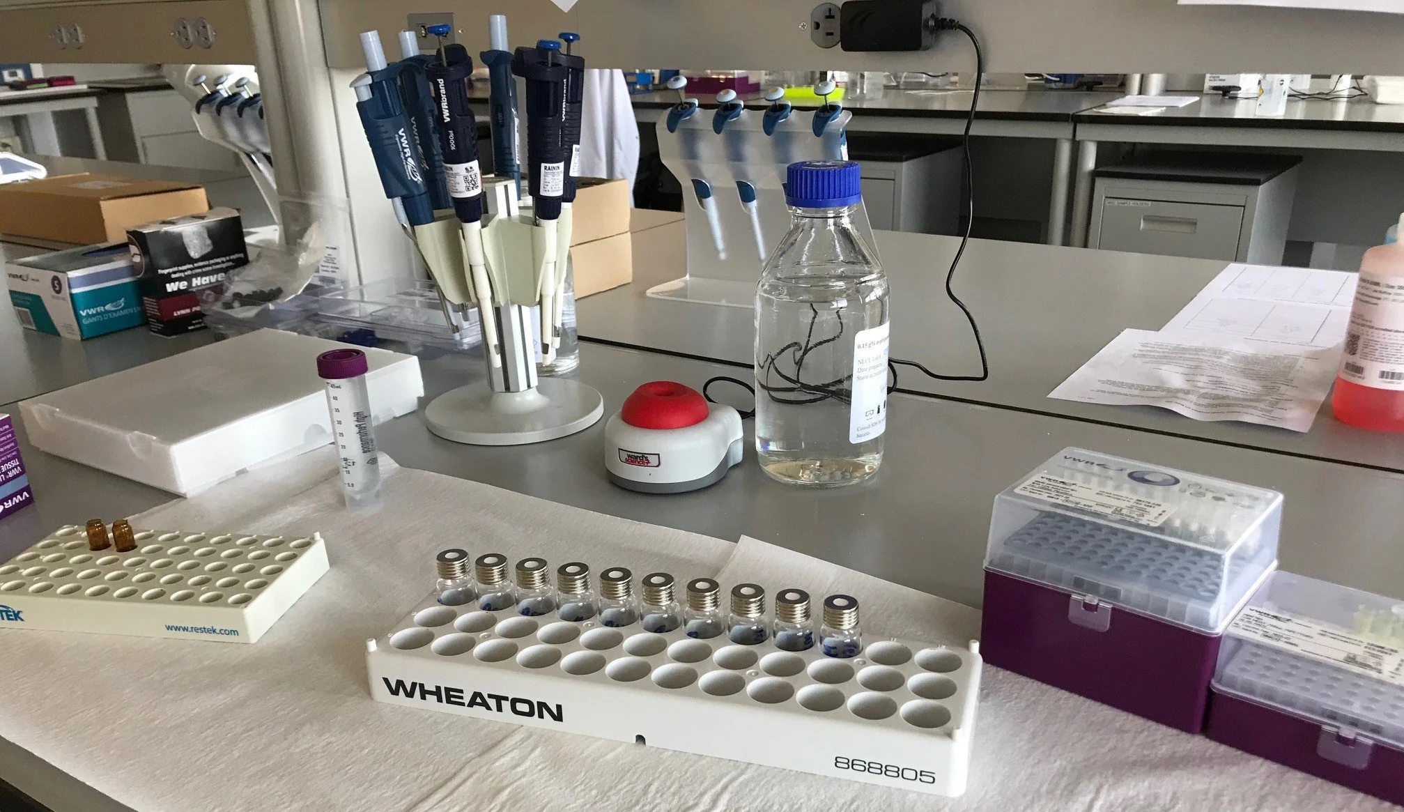 Internships — NLCL