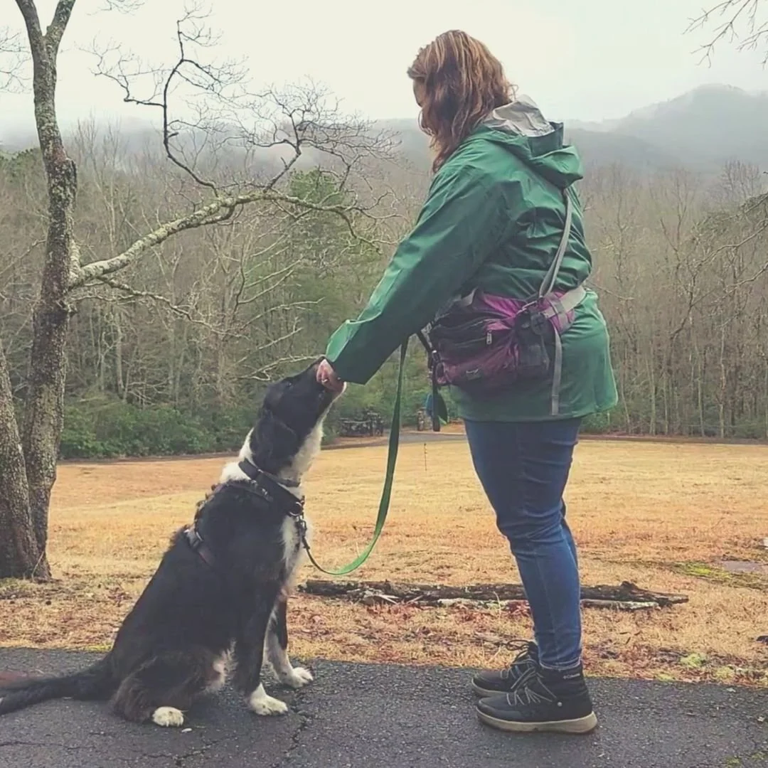 Dog Trainer Interview- Megan Thrasher — Auntie M Pet Care