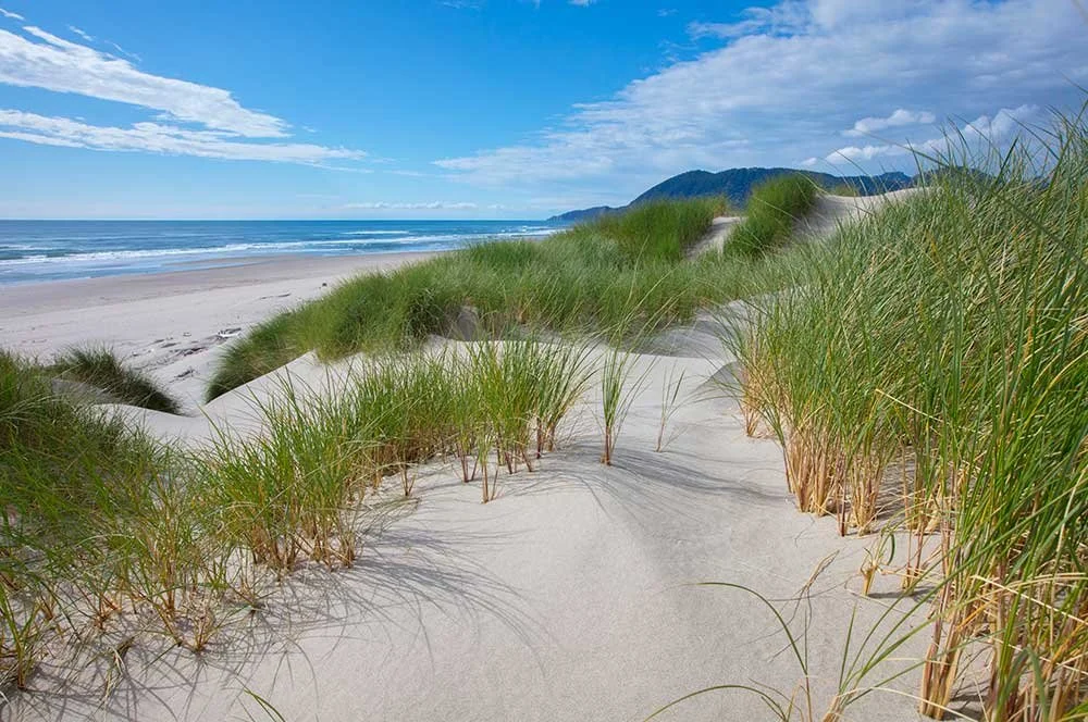 Siuslaw Eco Tours