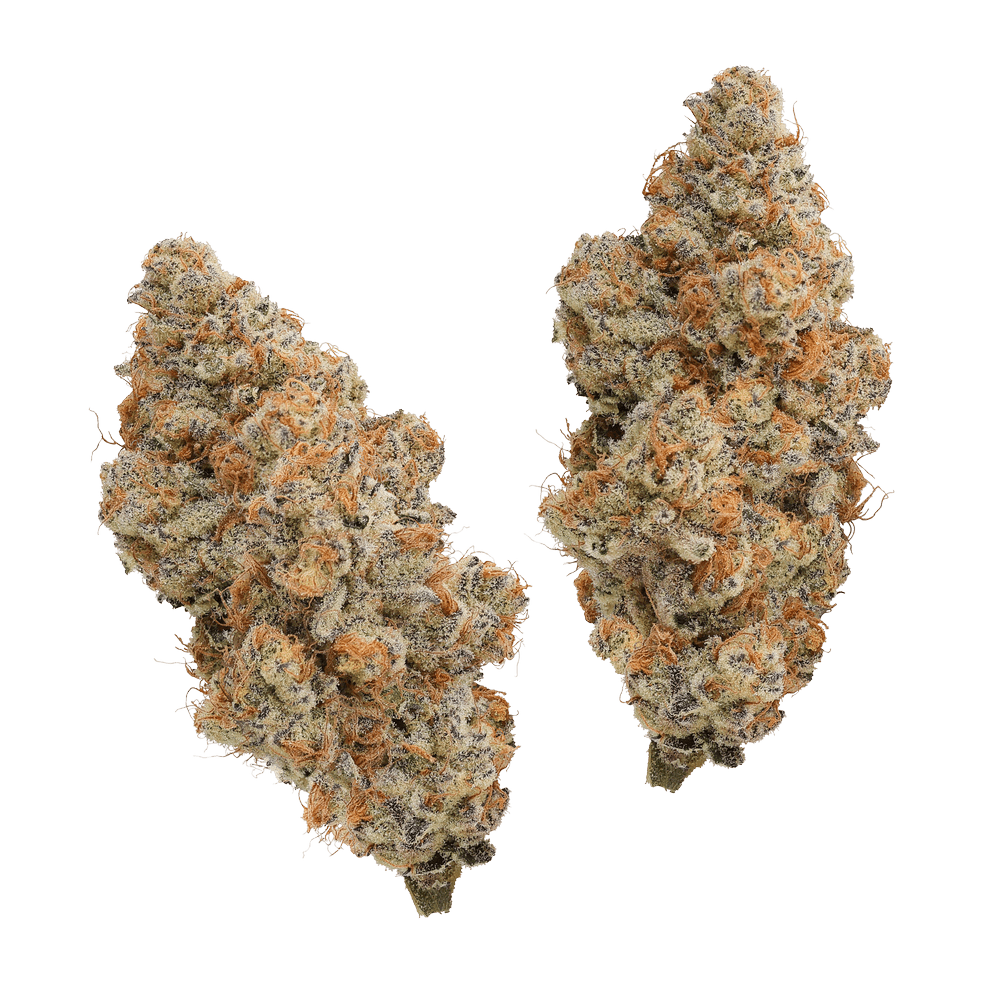 Peach Slushie Strain • Sativa • KAI Cannabis Flower — KAI Cultivation