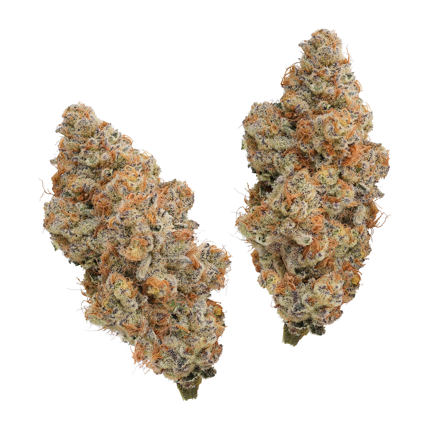 Peach Slushie Strain • Sativa • KAI Cannabis Flower — KAI Cultivation