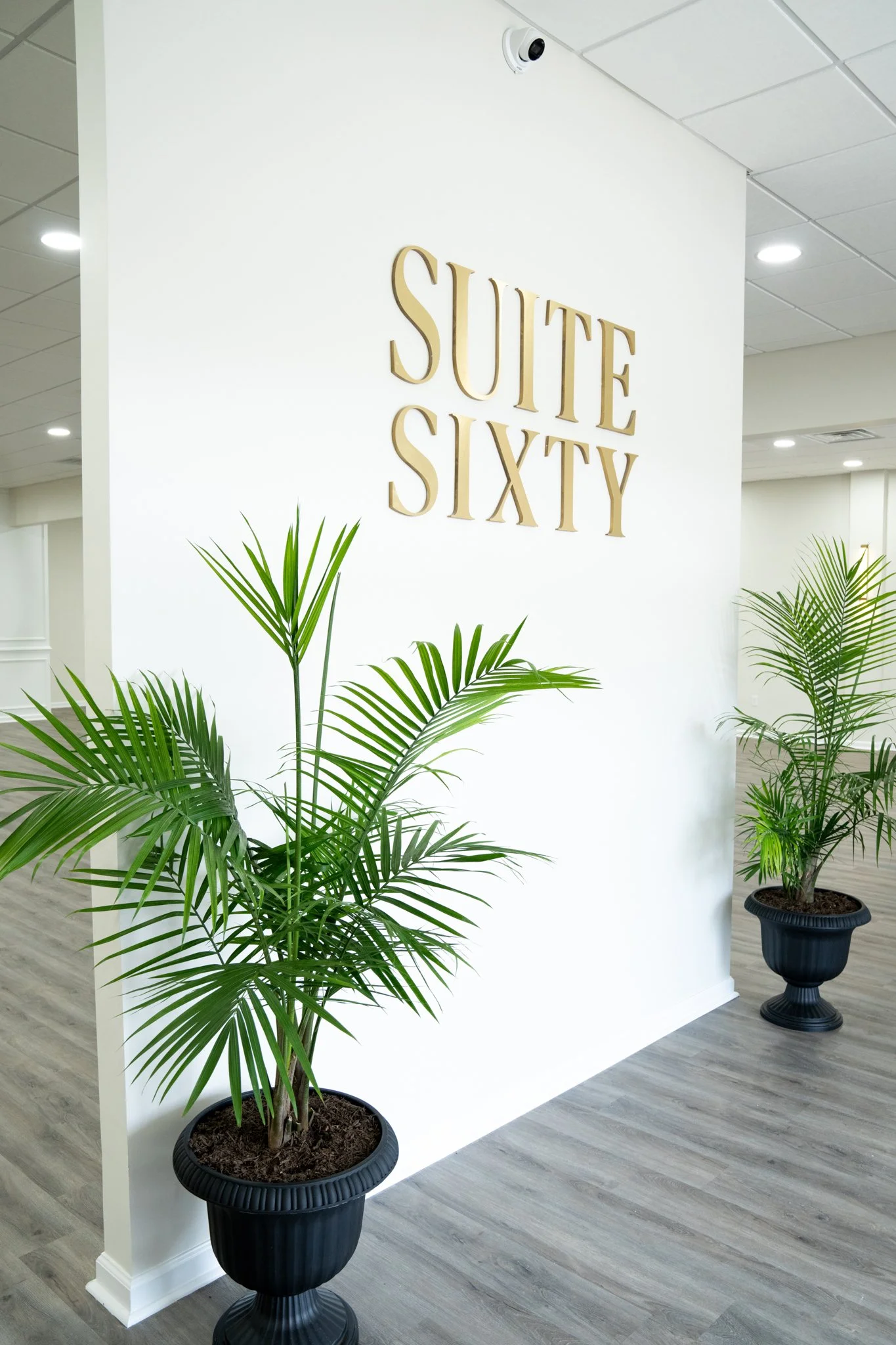 About 1 — SUITE SIXTY