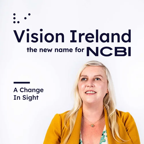 Vision Ireland — We the People