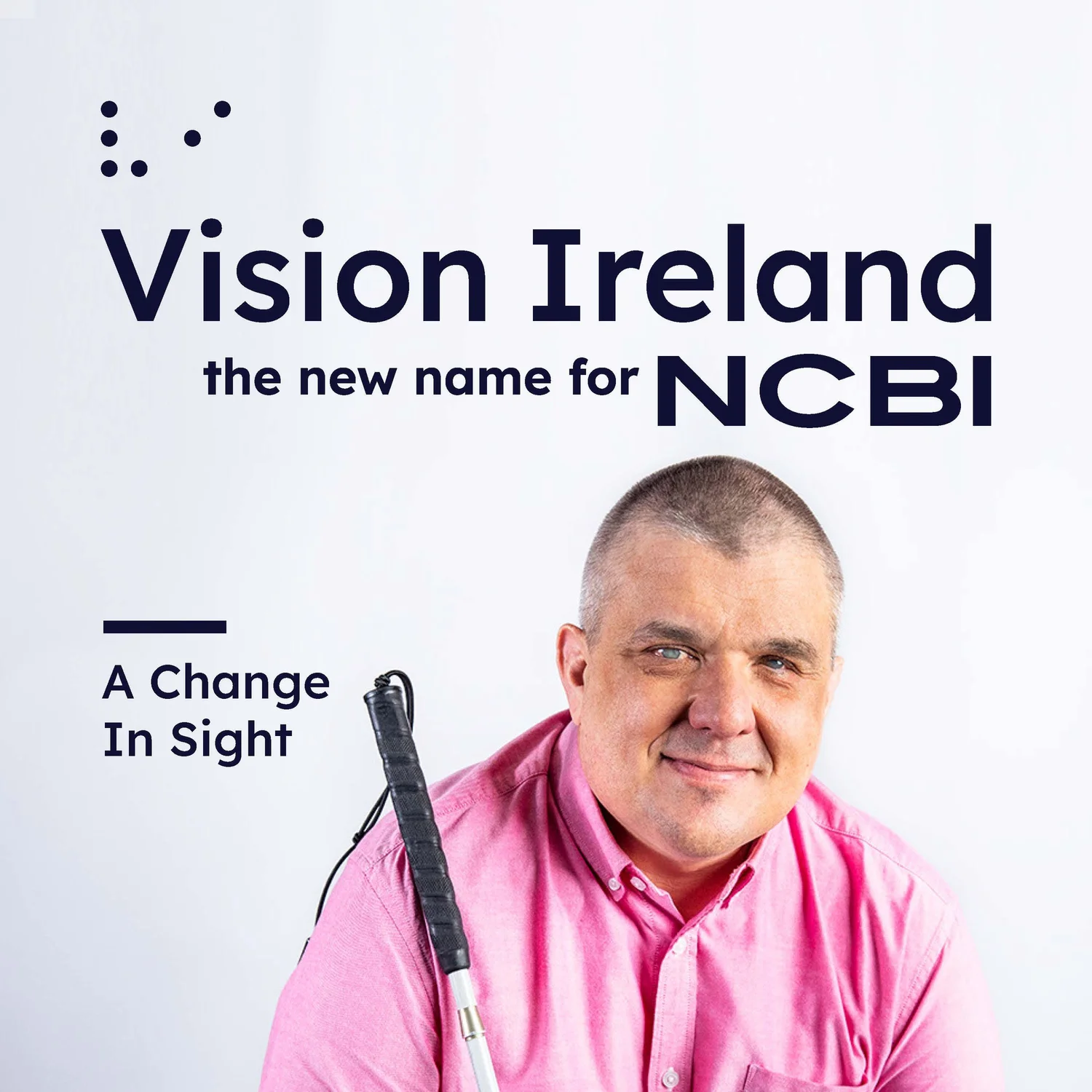 Vision Ireland — We the People