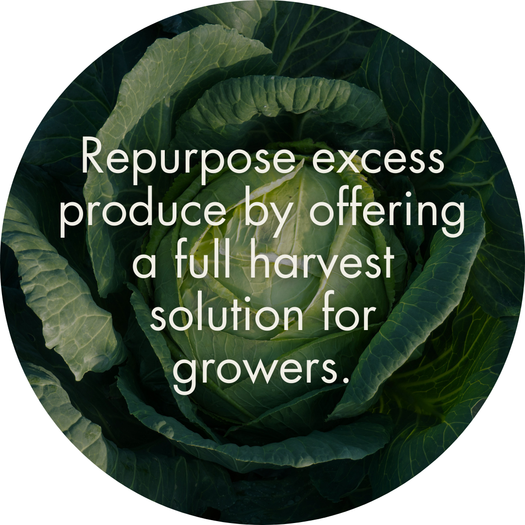Planet Harvest