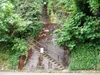 Explore the Hidden Stair Walks of Portland — Urban Nest Realty - Oregon ...