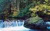 Secret Portland Walking Trails You Probably Didn't Know About — Urban ...