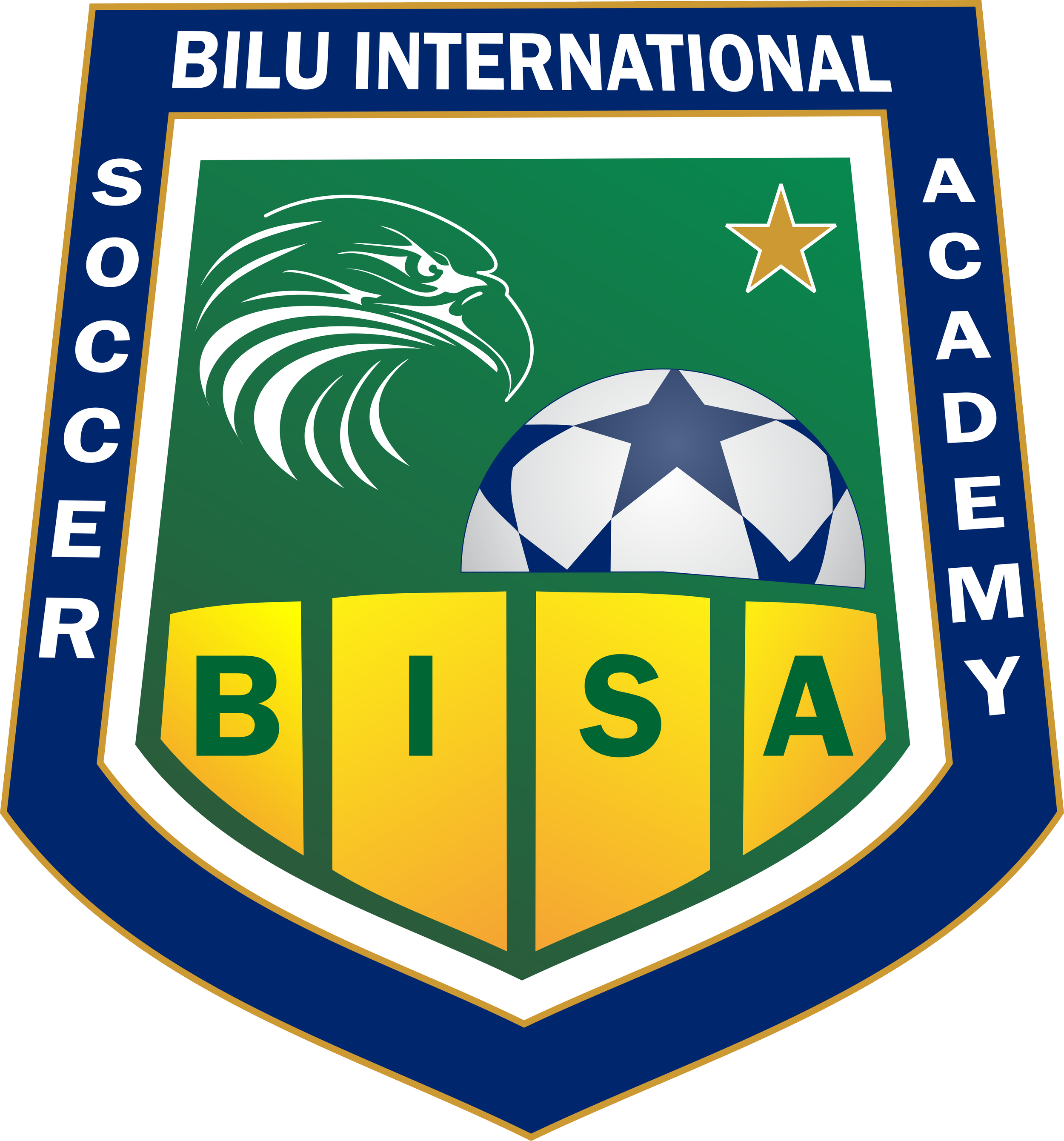 Projeto Bilú — Bilu International Soccer Academy