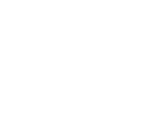 AVIVO Wines | Discover Simply Better Wine Today