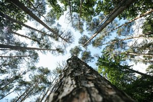 FNTI Admissions — FNTI