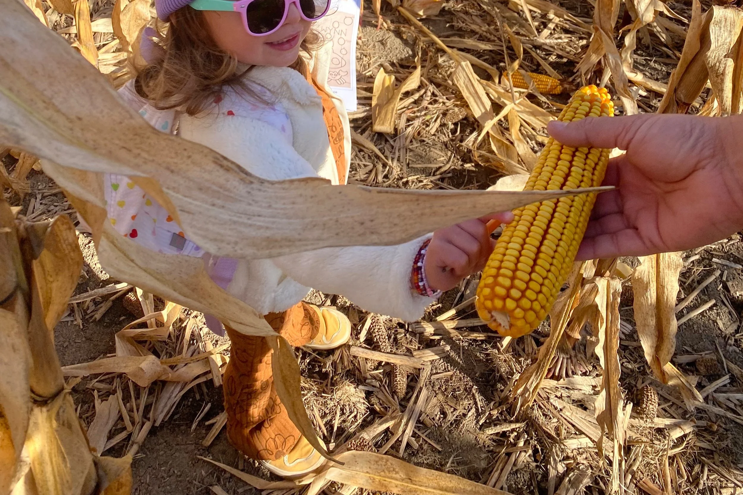 Early Childhood Education — FNTI