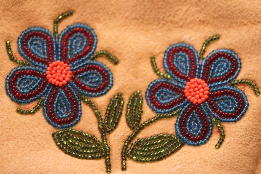 Indigenous Learning — FNTI