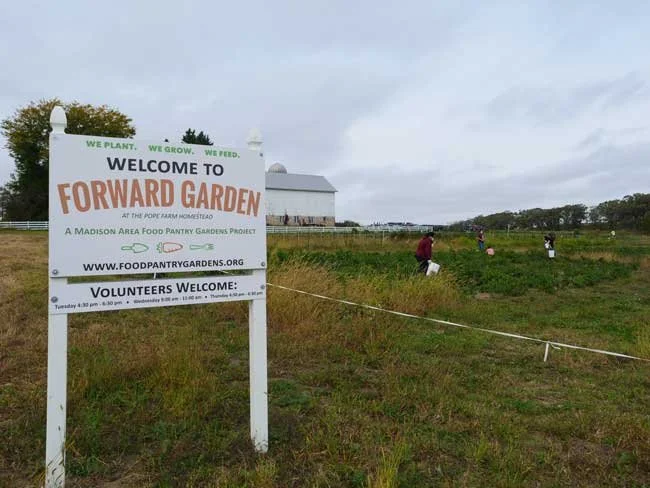 Forward Garden — Madison Area Food Pantry Gardens