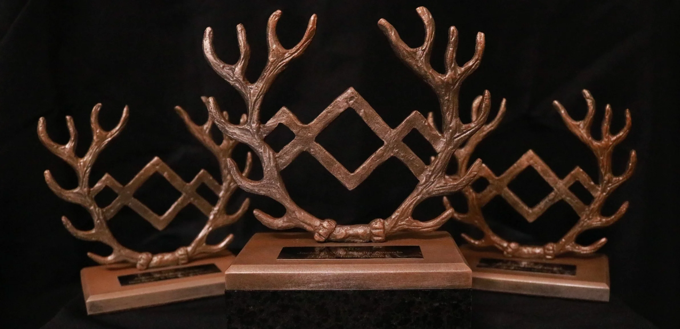 General 1 — Jackson Wild