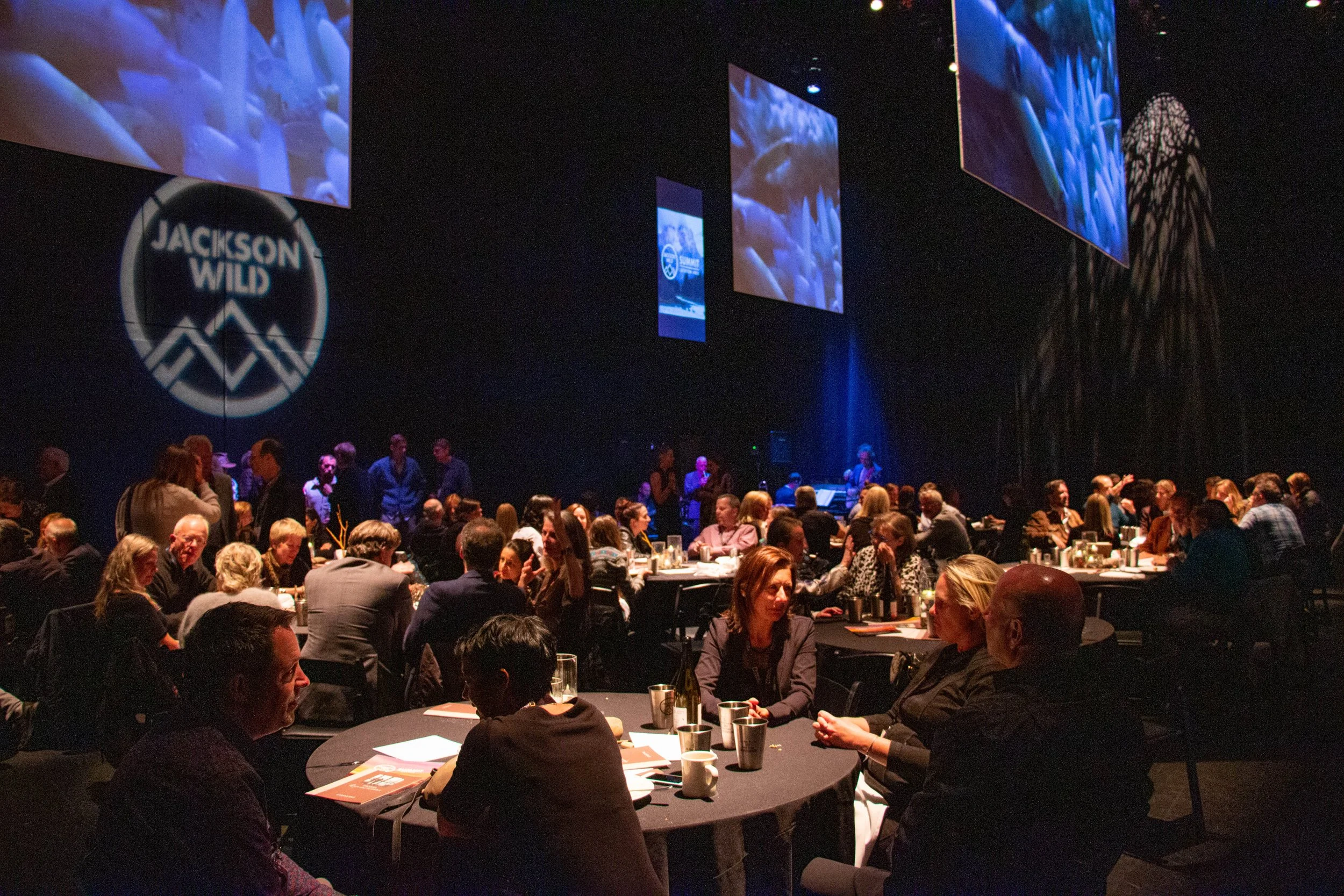 2025 Summit — Jackson Wild